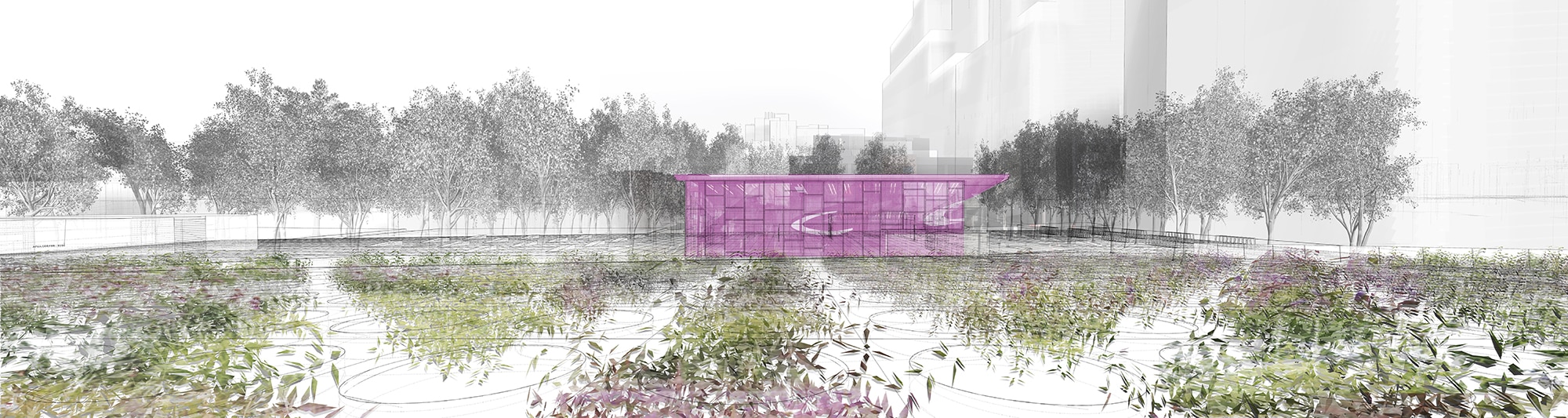 Historic win in International Multidisciplinary Landscape Architecture ...
