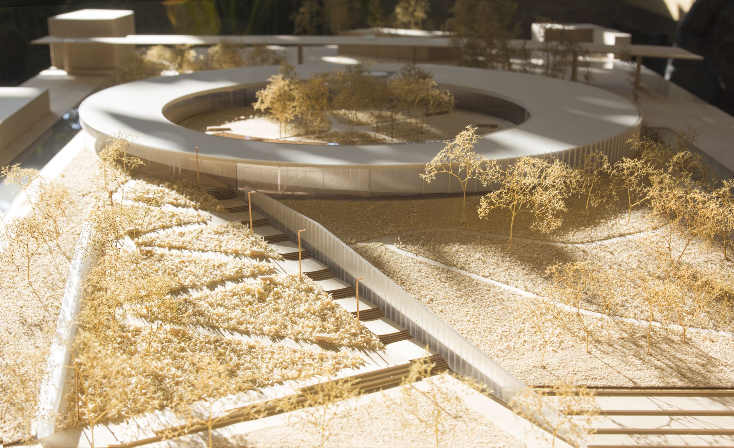 Public’s turn to acclaim community-focused design | Lemay ...